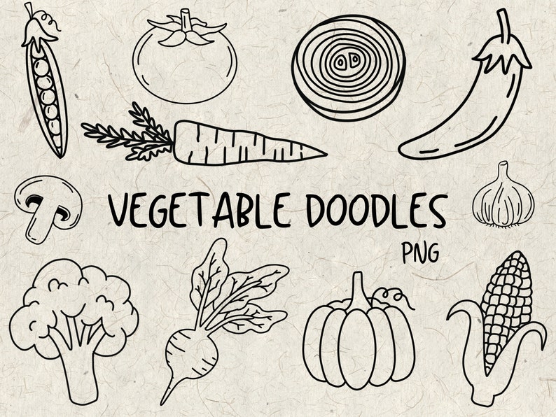Vegetable Doodles Hand Drawn Veggie Doodles PNG Digital Downloads ...