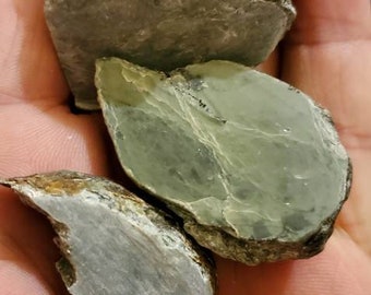 Washington Jade | Etsy