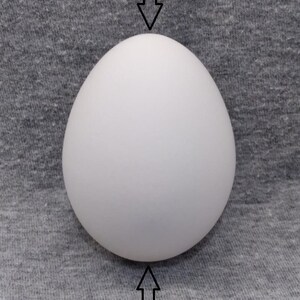 Clean Empty Chicken Egg Shells: Single Hole, Ready to Decorate - Etsy