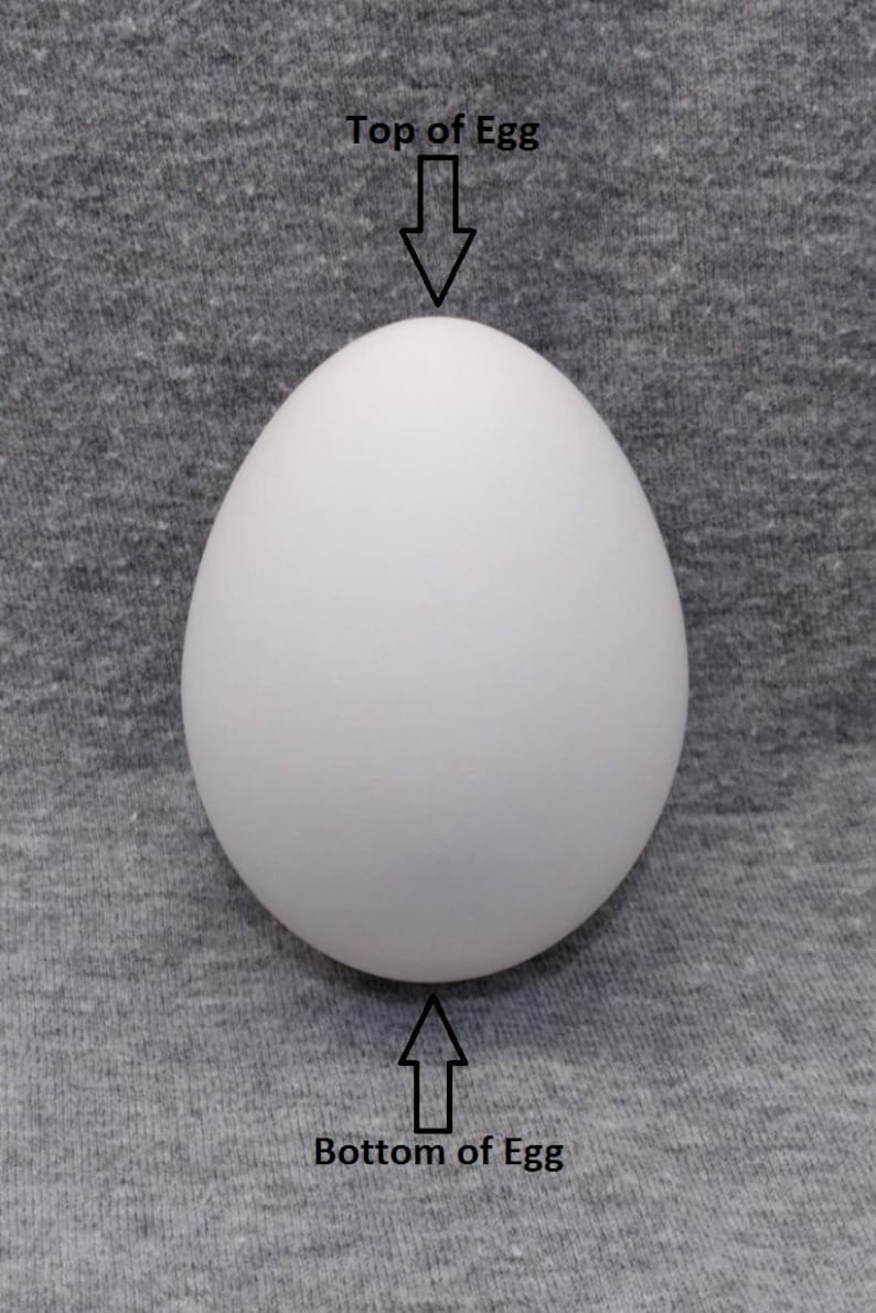 Clean Empty Chicken Egg Shells: Single Hole, Ready to Decorate - Etsy