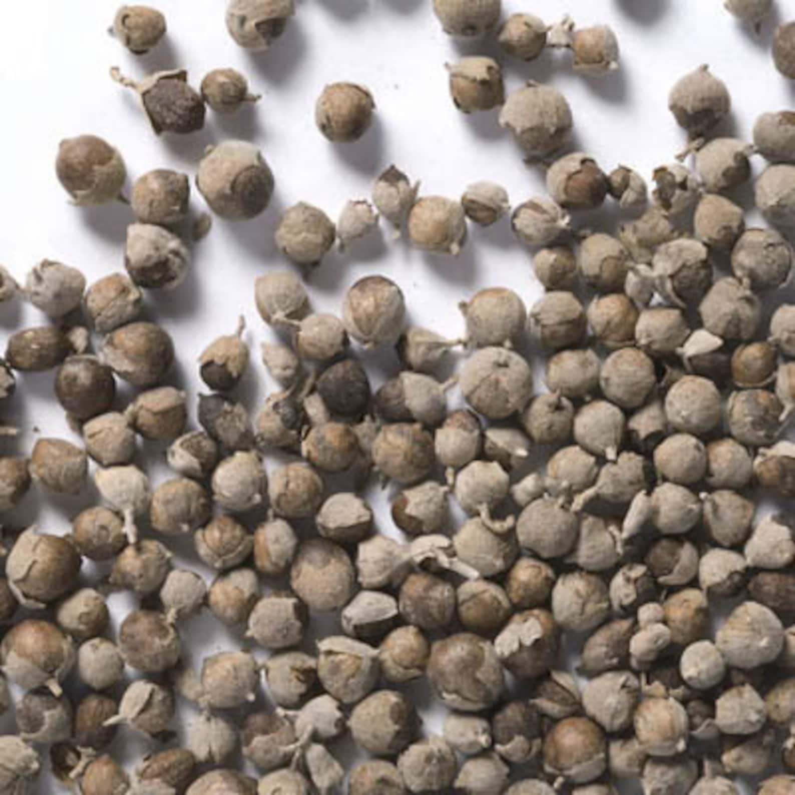 Vitex Seeds Chaste Tree Agnus-castus Texas Lilac Chaste | Etsy