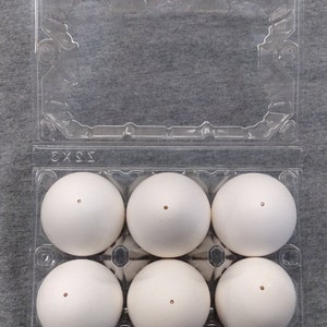 Clean Empty Chicken Egg Shells: Single Hole, Ready to Decorate - Etsy