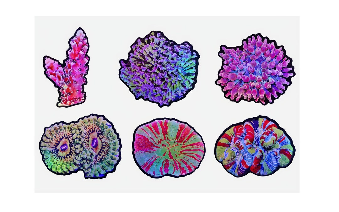 6-pack Reef Tank Coral Stickers Holographic Shiny Corals for Luggage ...