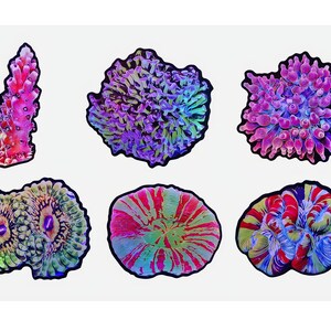 6-pack Reef Tank Coral Stickers Holographic Shiny Corals for Luggage ...