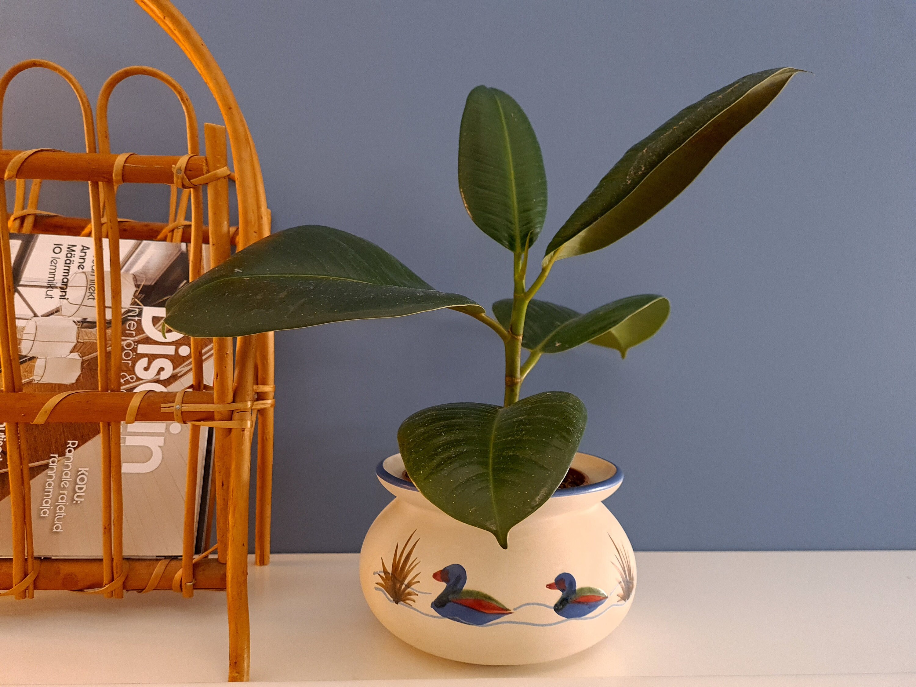 Gabriel Sweden, Stengods Flower Pot Vintage - Etsy Australia