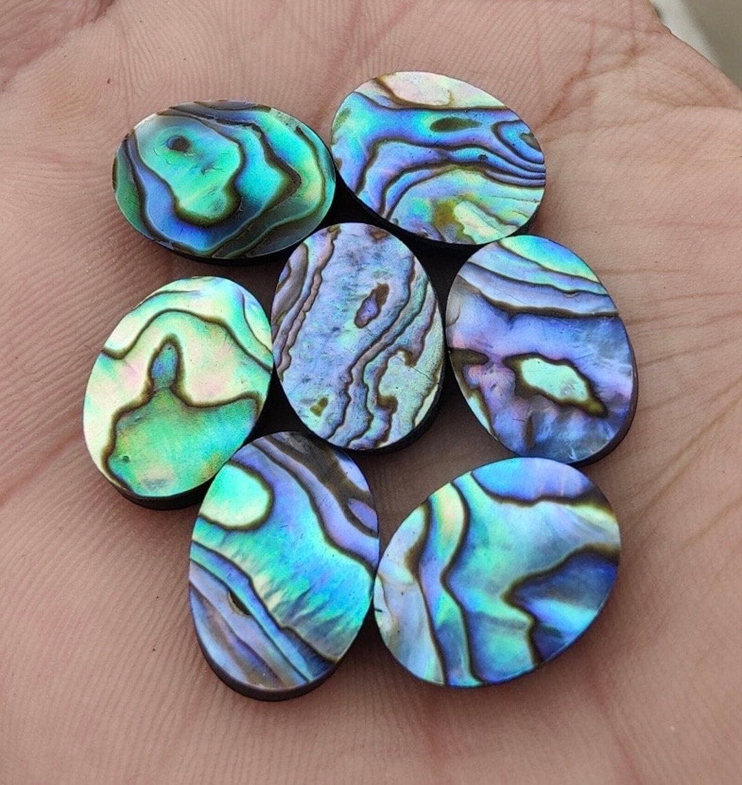 Natural Abalone Shell Oval Shape Cabochon Flat Back AAA Quality ...