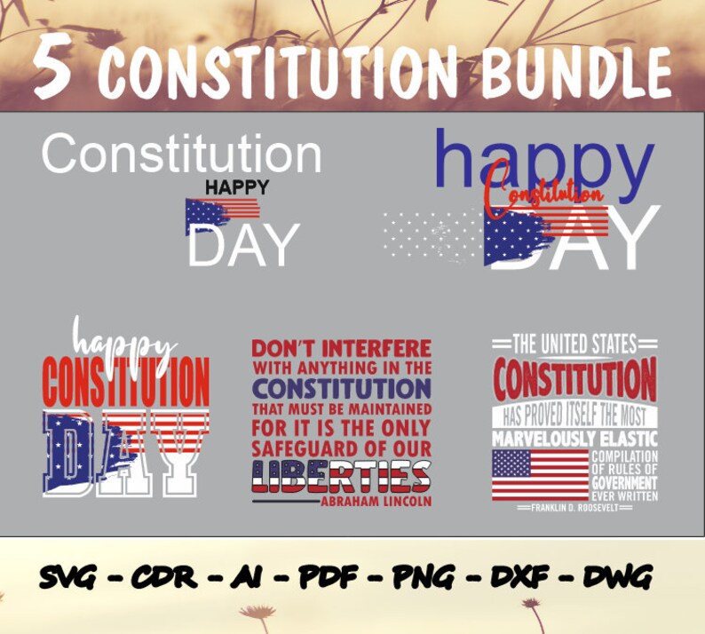 We the People Svg, American Flag Svg, Patriotic Svg, 2nd Amendment Svg ...