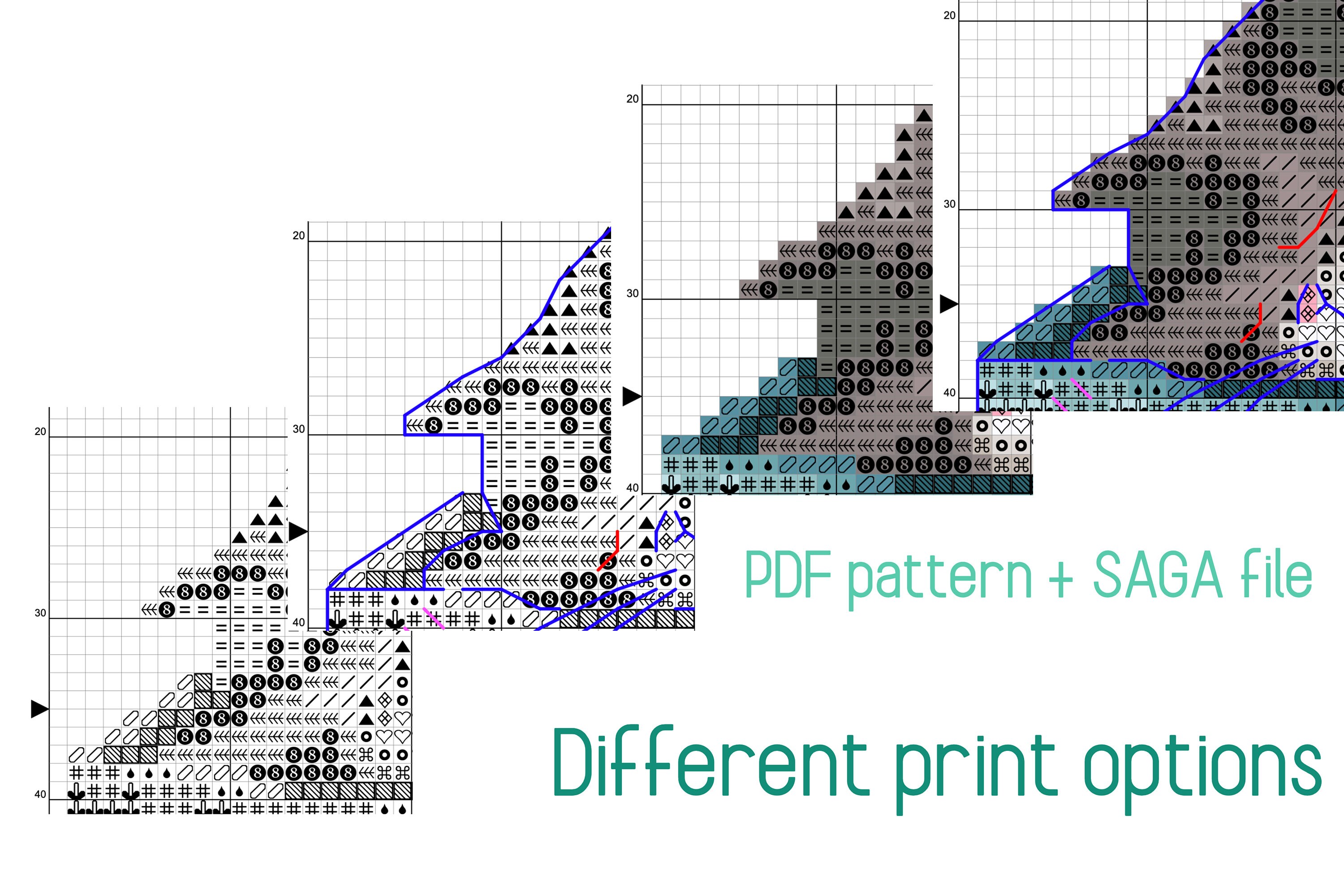 Discus PDF Cross Stitch Pattern Discus Family Cross Stitch - Etsy