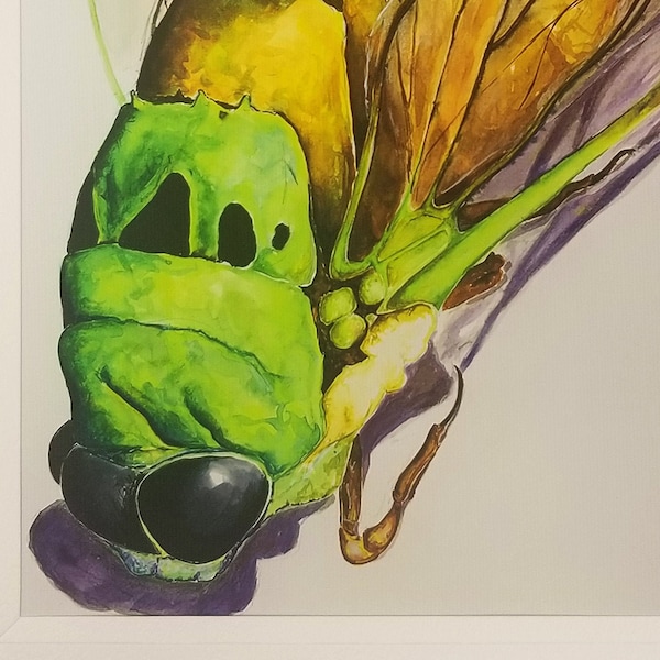 Insect Watercolor - Etsy