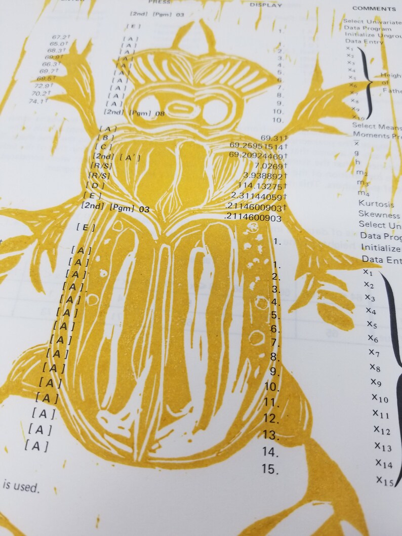 Beetle Insect Linocut Print / Relief Bug Art - Etsy