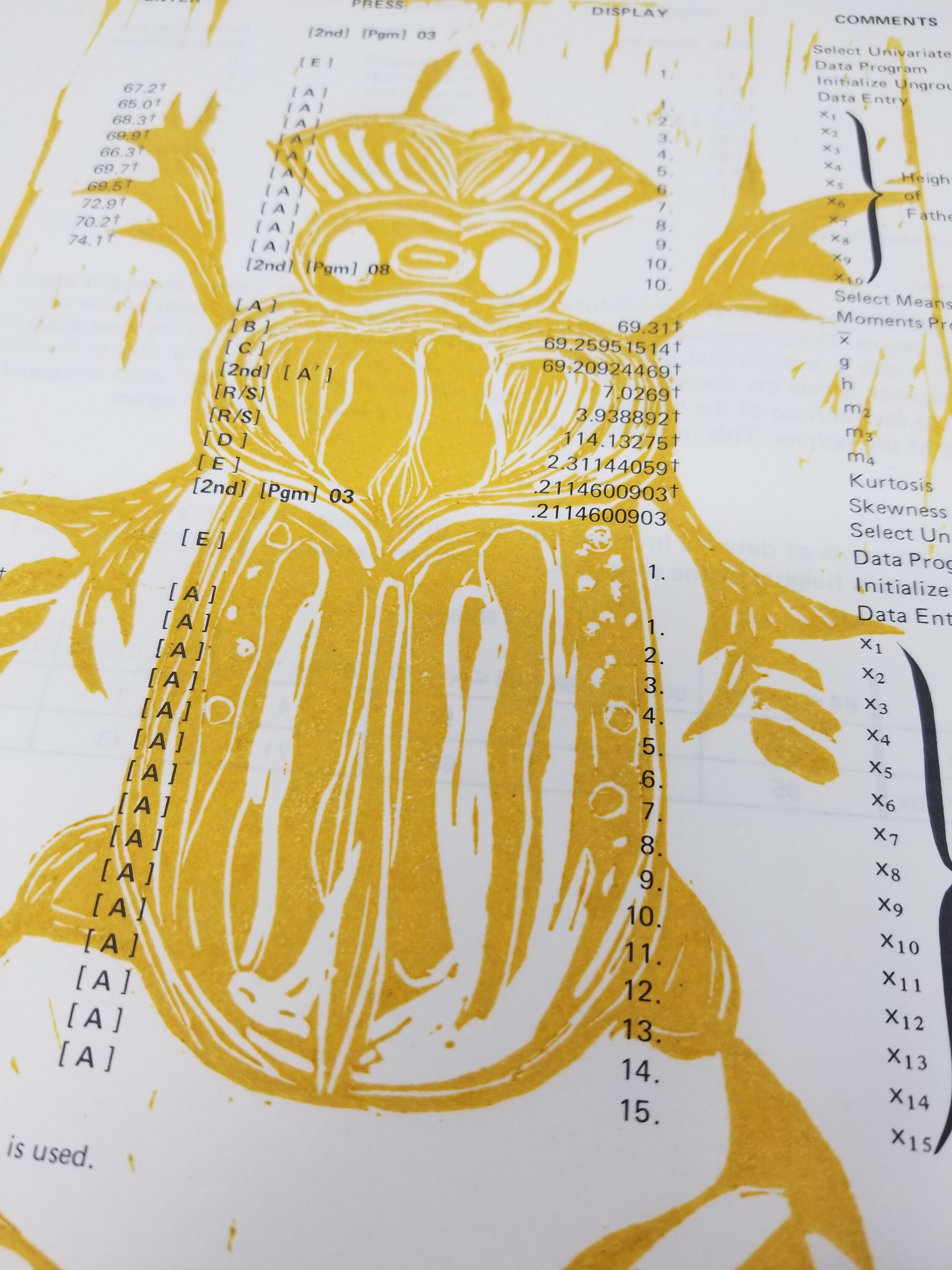 Beetle Insect Linocut Print / Relief Bug Art - Etsy UK