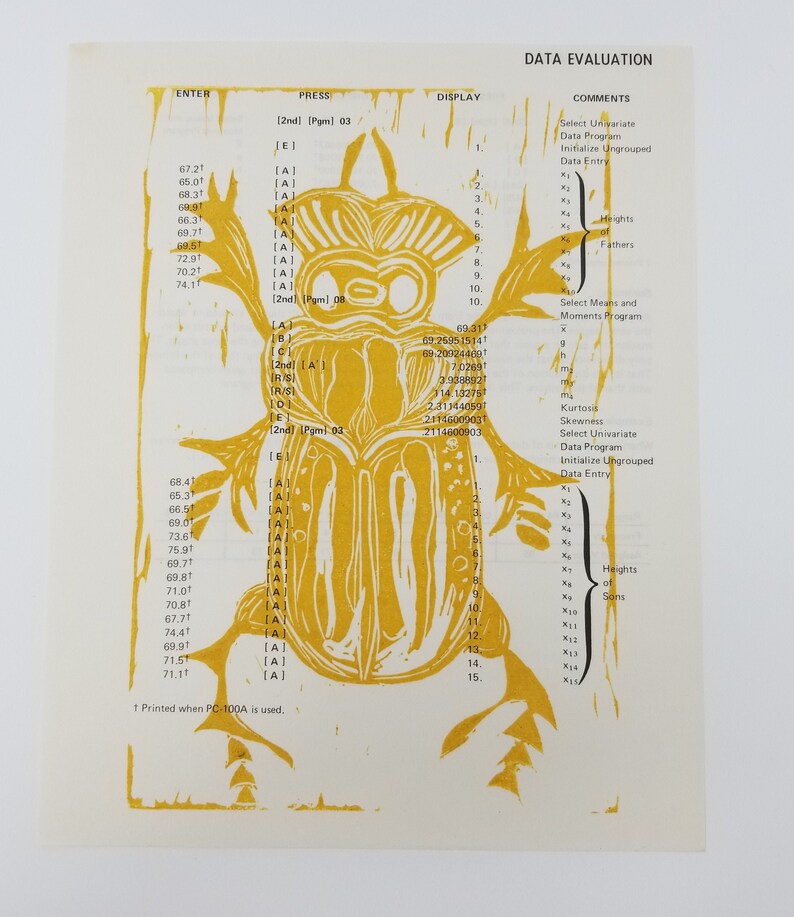 Beetle Insect Linocut Print / Relief Bug Art - Etsy UK