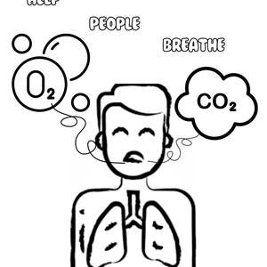 The Art of Anesthesia Coloring Pages Vol 1 - Etsy