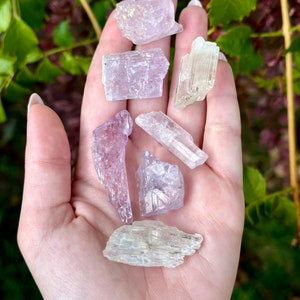 Raw Gem Grade Kunzite Specimen ONE Intuitively Chosen Raw Gem Grade ...