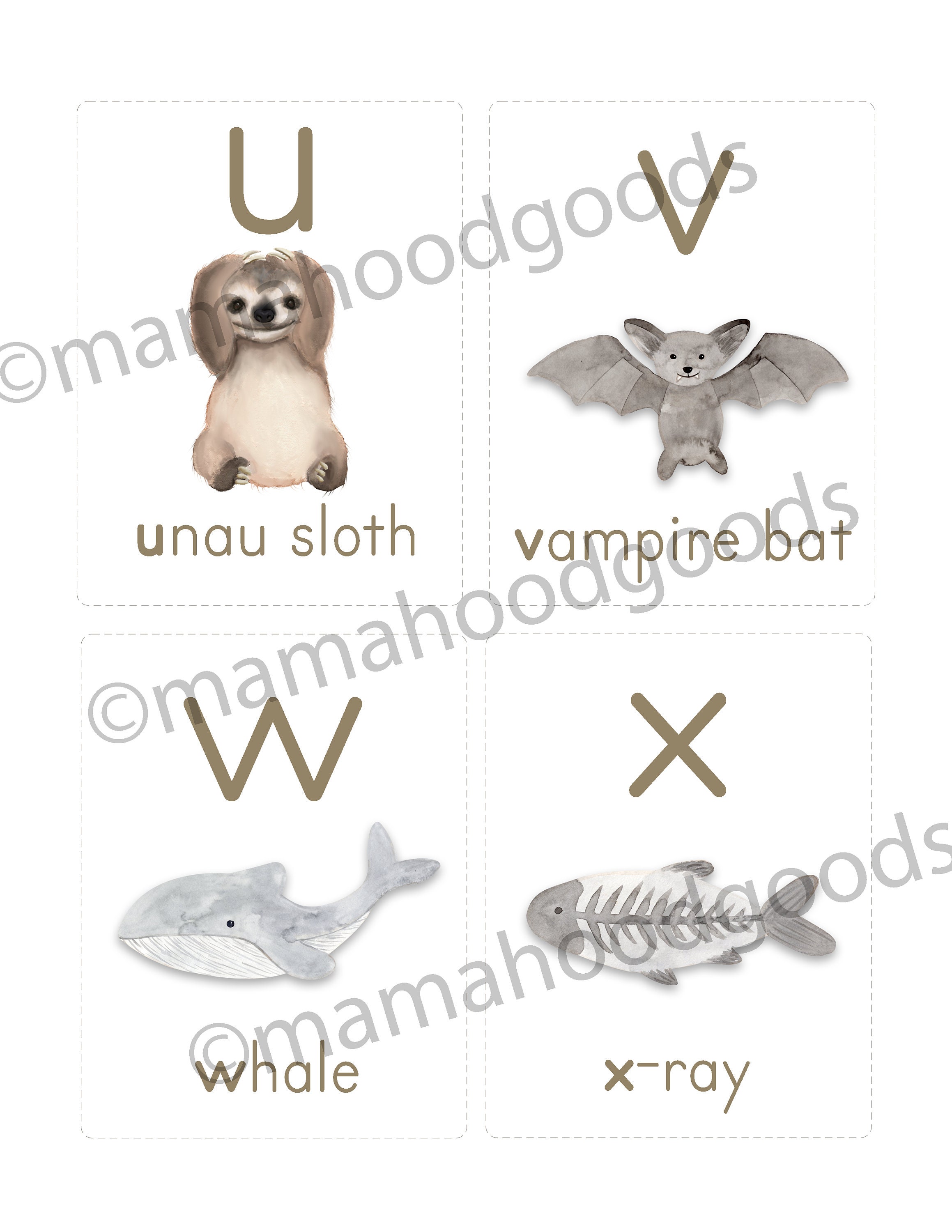 Alphabet Flash Card Bundle 3 Sets | Alphabet Flash Cards | Alphabet ...