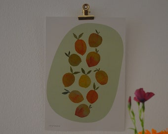 Apricot Poster - Etsy