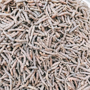 Hwentia / Uda / Grains of Selim / Negro Pepper / Xylopia Aethiopica / 2 ...