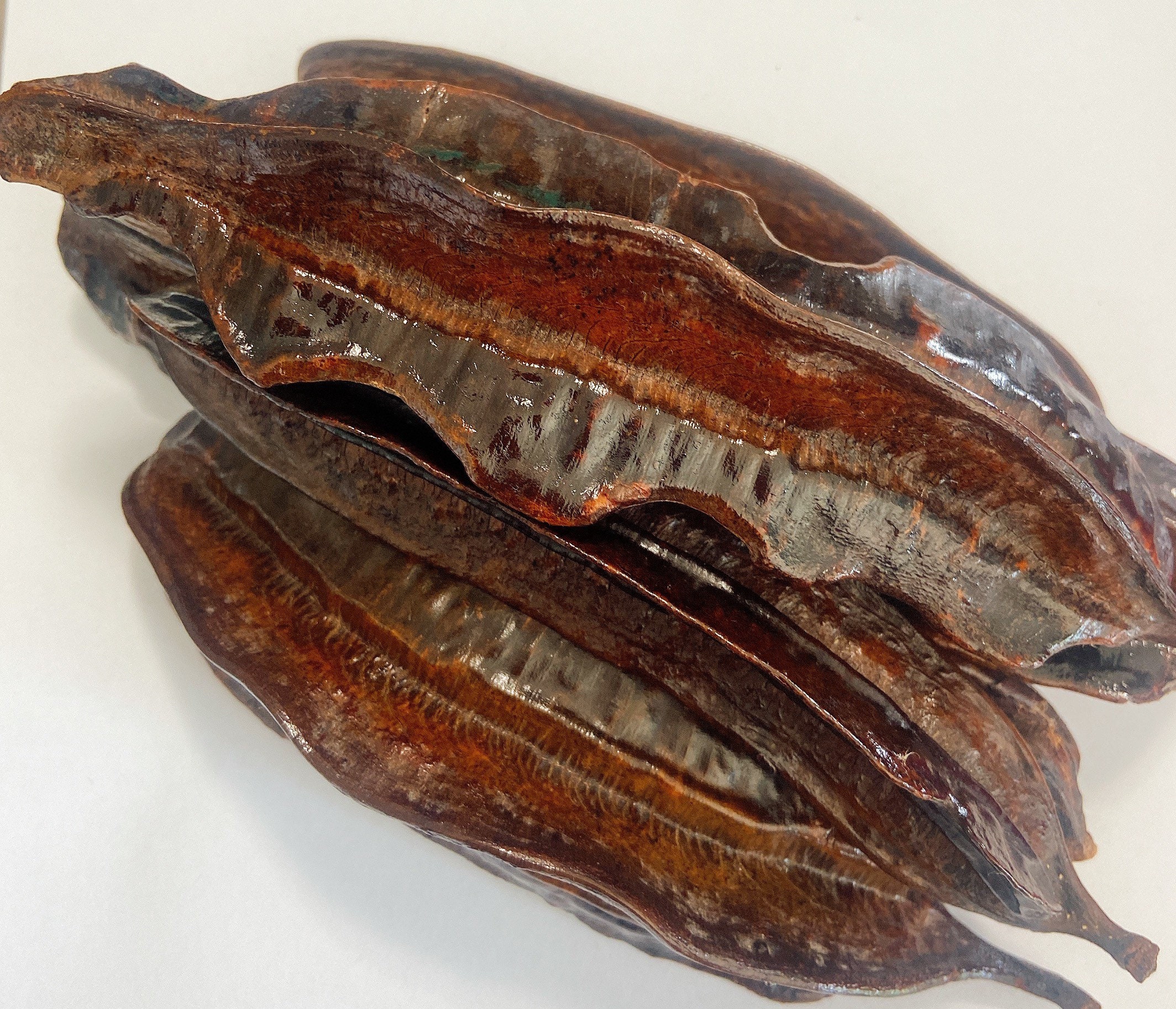 Prekese / Aidan fruit / Tetrapleura tetraplera / 4 pieces in a | Etsy