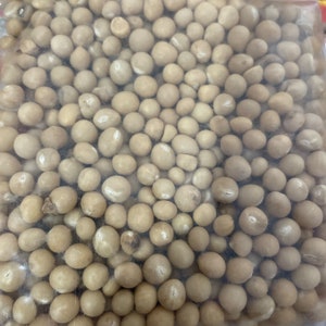 Bambara Beans / Okpa Beans / Congo Goober / Njugo Bean / Jugo Bean ...