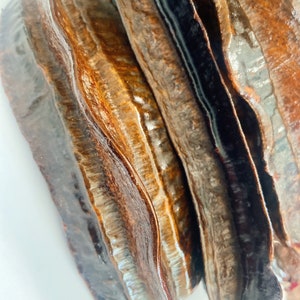 Prekese / Aidan Fruit / Tetrapleura Tetraplera / 6 Pieces / 10 Pieces ...