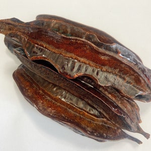 Prekese / Aidan Fruit / Tetrapleura Tetraplera / 6 Pieces / 10 Pieces ...