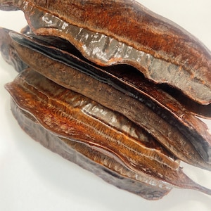 Prekese / Aidan Fruit / Tetrapleura Tetraplera / 6 Pieces / 10 Pieces ...