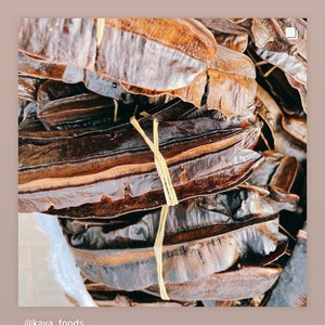 Prekese / Aidan Fruit / Tetrapleura Tetraplera / 6 Pieces / 10 Pieces ...