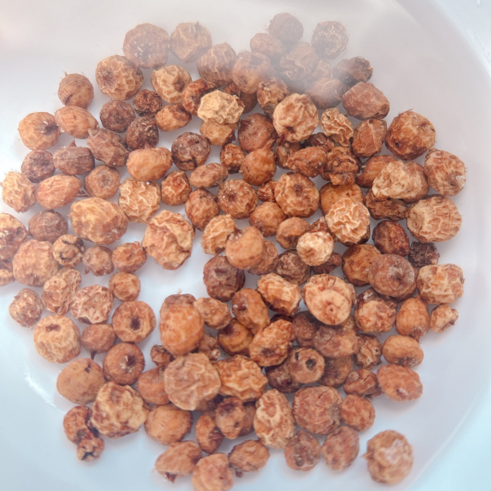 Tiger Nut / Atadwe / Product of Ghana / 4oz / - Etsy
