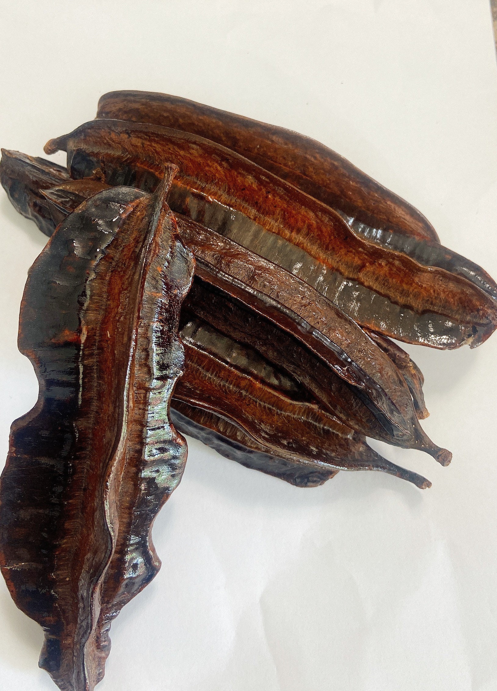 Prekese / Aidan fruit / Tetrapleura tetraplera / 4 pieces in a | Etsy