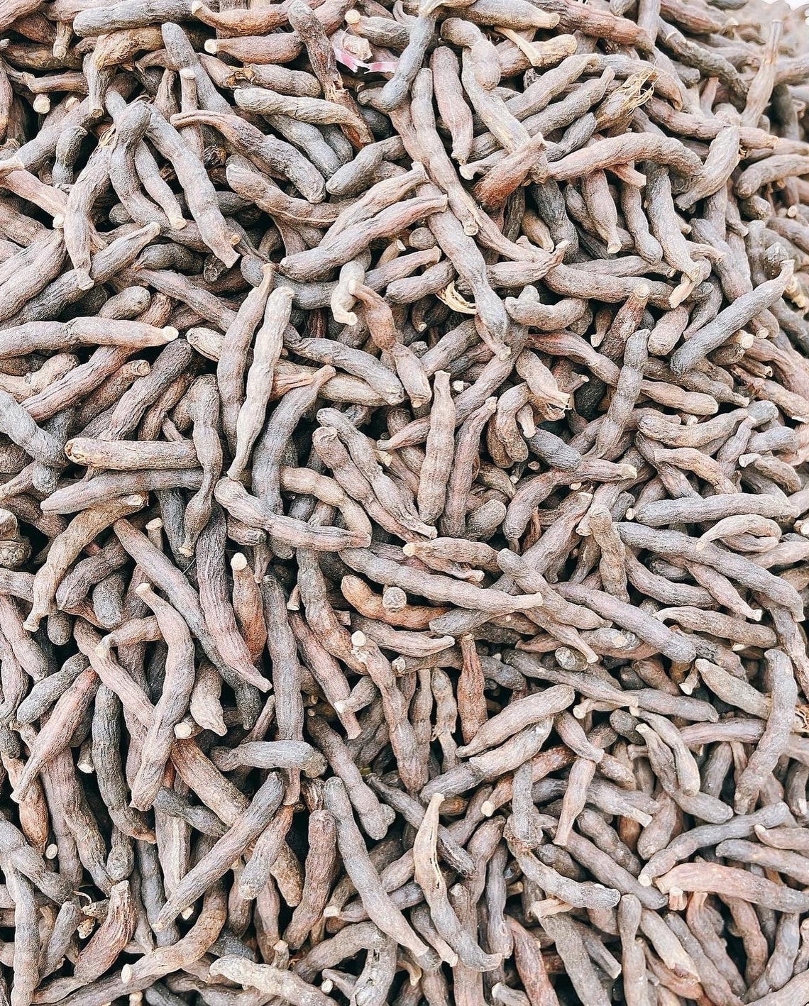 Hwentia / Uda / Grains of Selim / Negro Pepper / Xylopia | Etsy