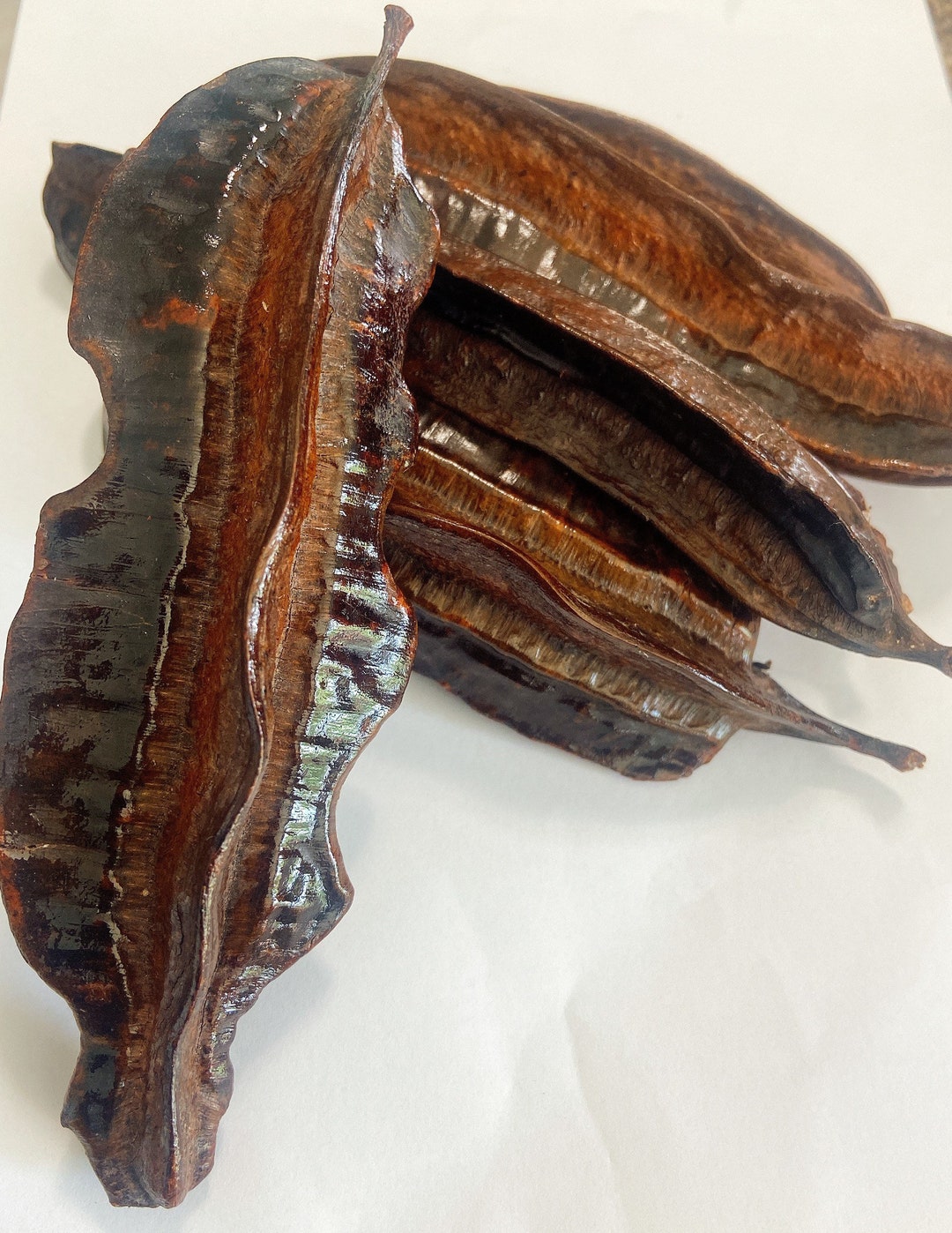 Prekese / Aidan Fruit / Tetrapleura Tetraplera / 6 Pieces / 10 Pieces ...