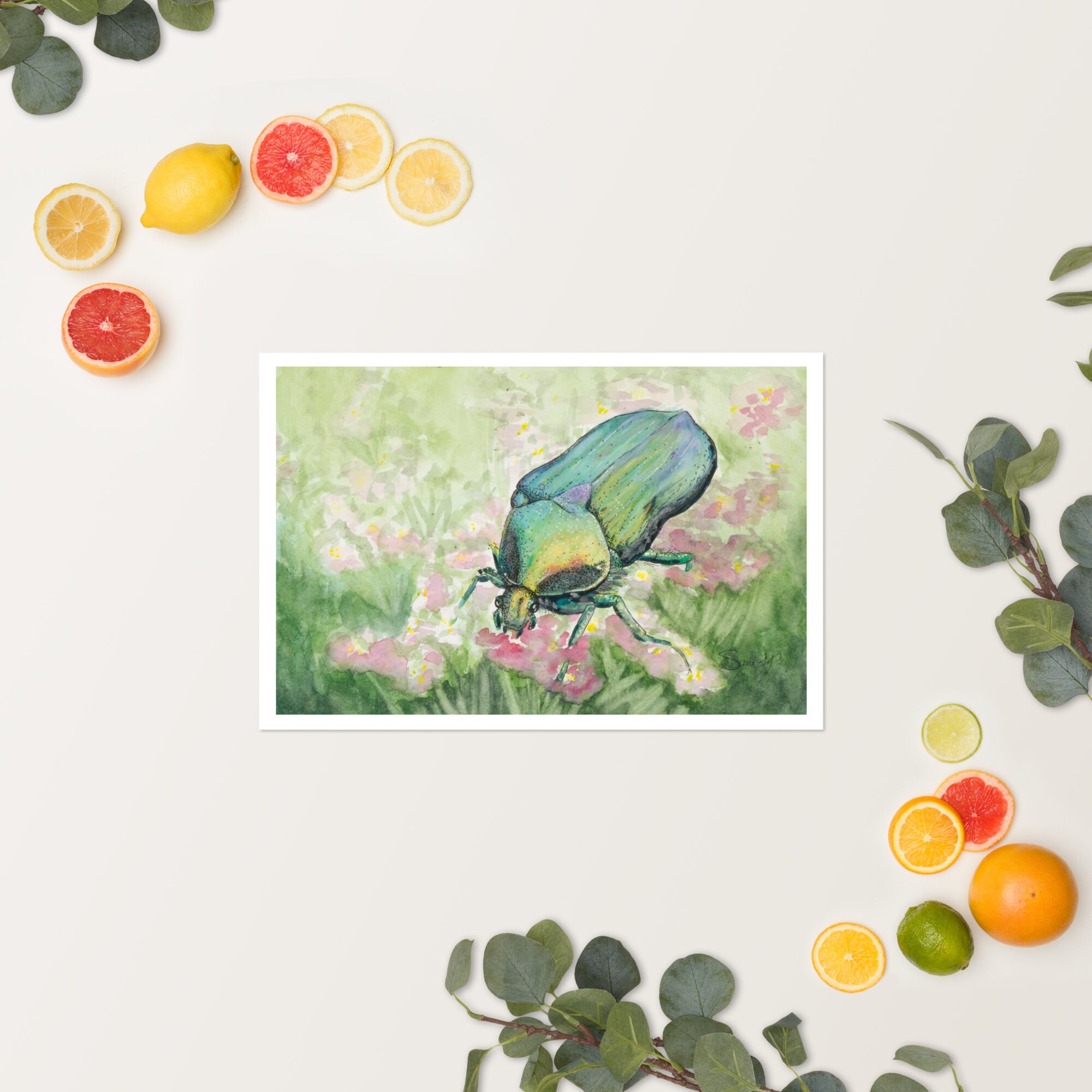 June Bug Art, Print of Original Watercolor, Insect Illustration - Etsy