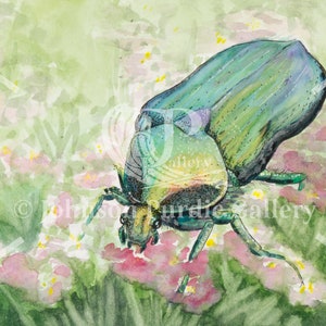 June Bug Art, Print of Original Watercolor, Insect Illustration - Etsy
