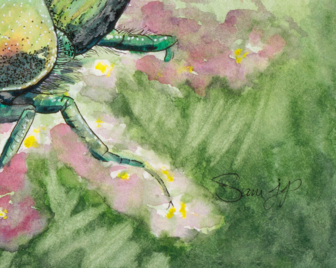 June Bug Art, Print of Original Watercolor, Insect Illustration - Etsy