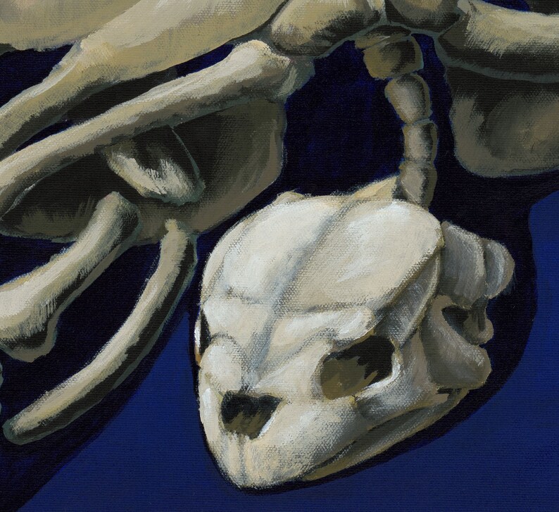 Diagrama de anatomía de la tortuga marina impresión de - Etsy México