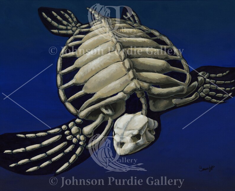 Sea Turtle Anatomy Diagram, Print of Original Acrylic Painting, Olive ...