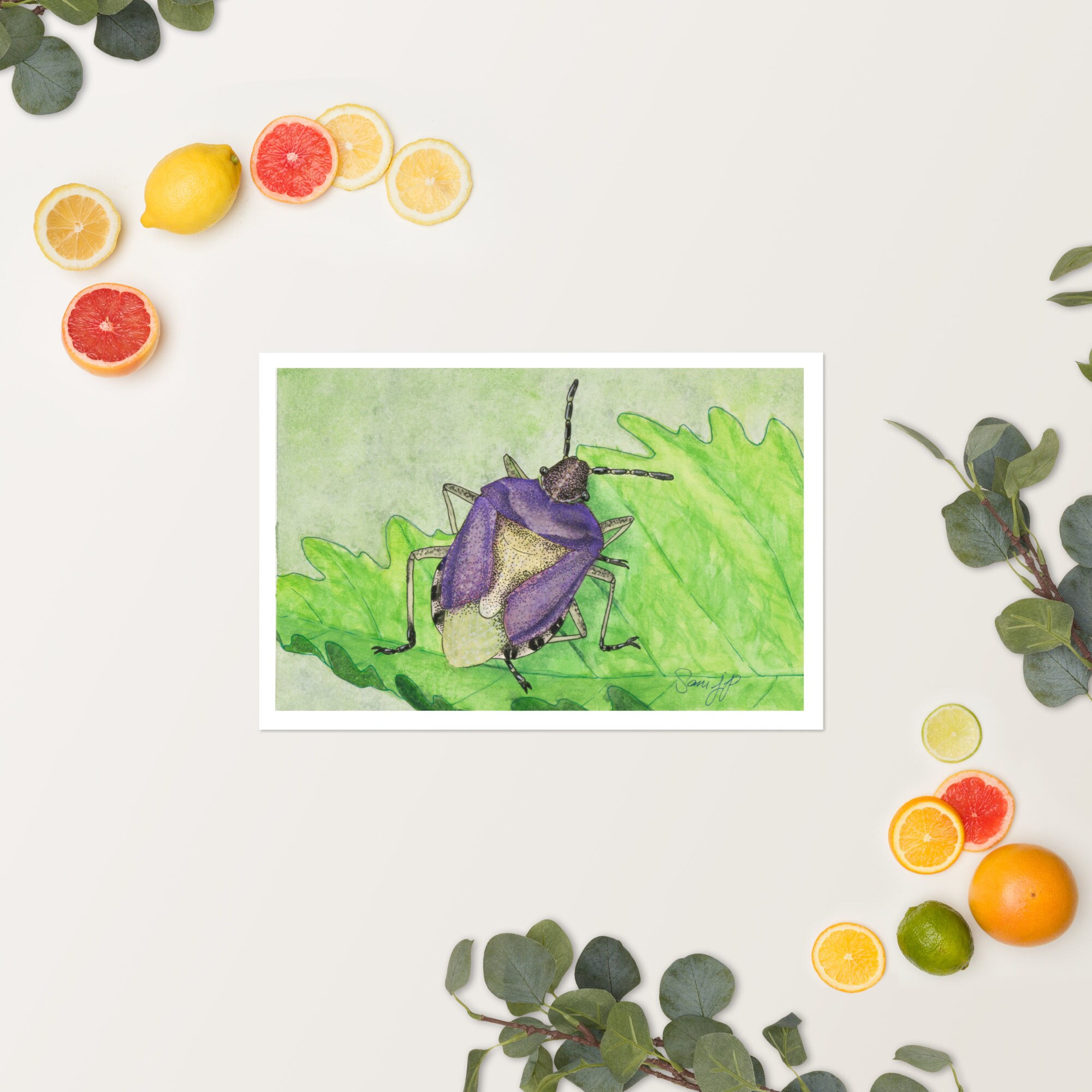 Stinkbug Poster, Print of Original Watercolor, Hairy Shieldbug ...