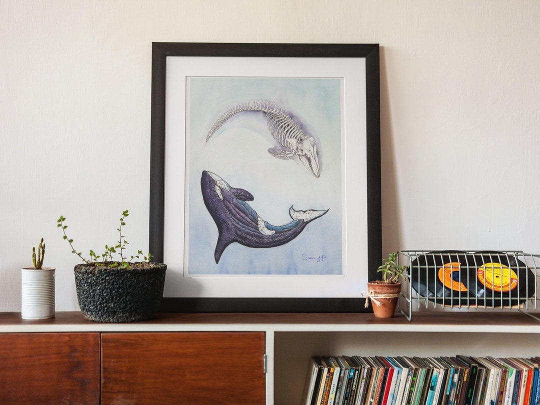 Marine Biologist Orca Poster, Biology Lover Gift, Underwater Anatomy ...
