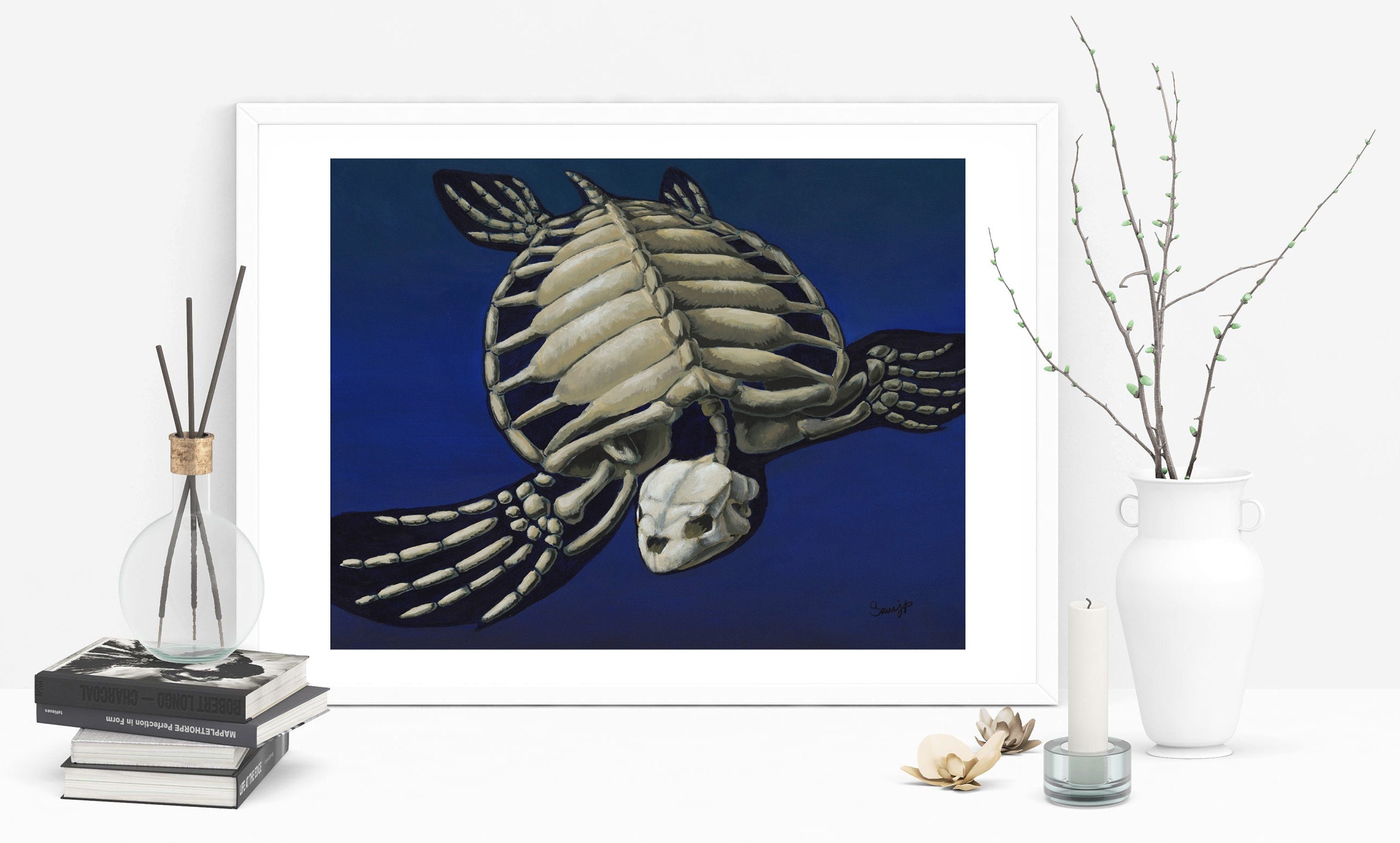 Sea Turtle Skeleton Diagram