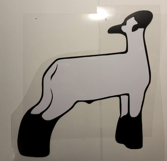 Show Lamb Decal