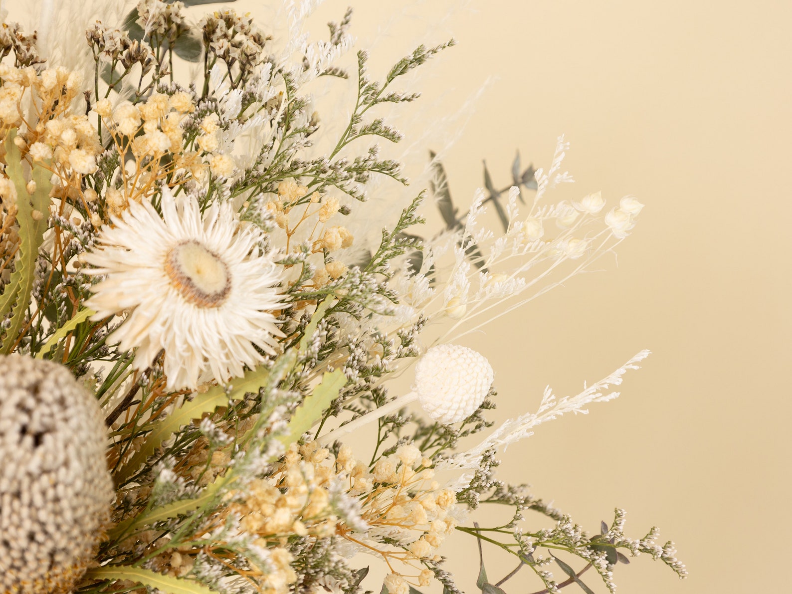 Australian Dried Native Bouquet Dried Banksia Daisy Flower - Etsy