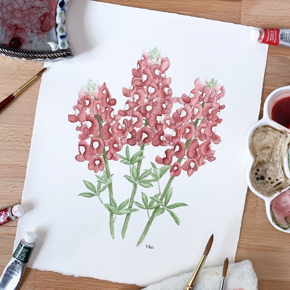 Watercolor Aggie Bluebonnet Flower Print Texas A&M Decor - Etsy