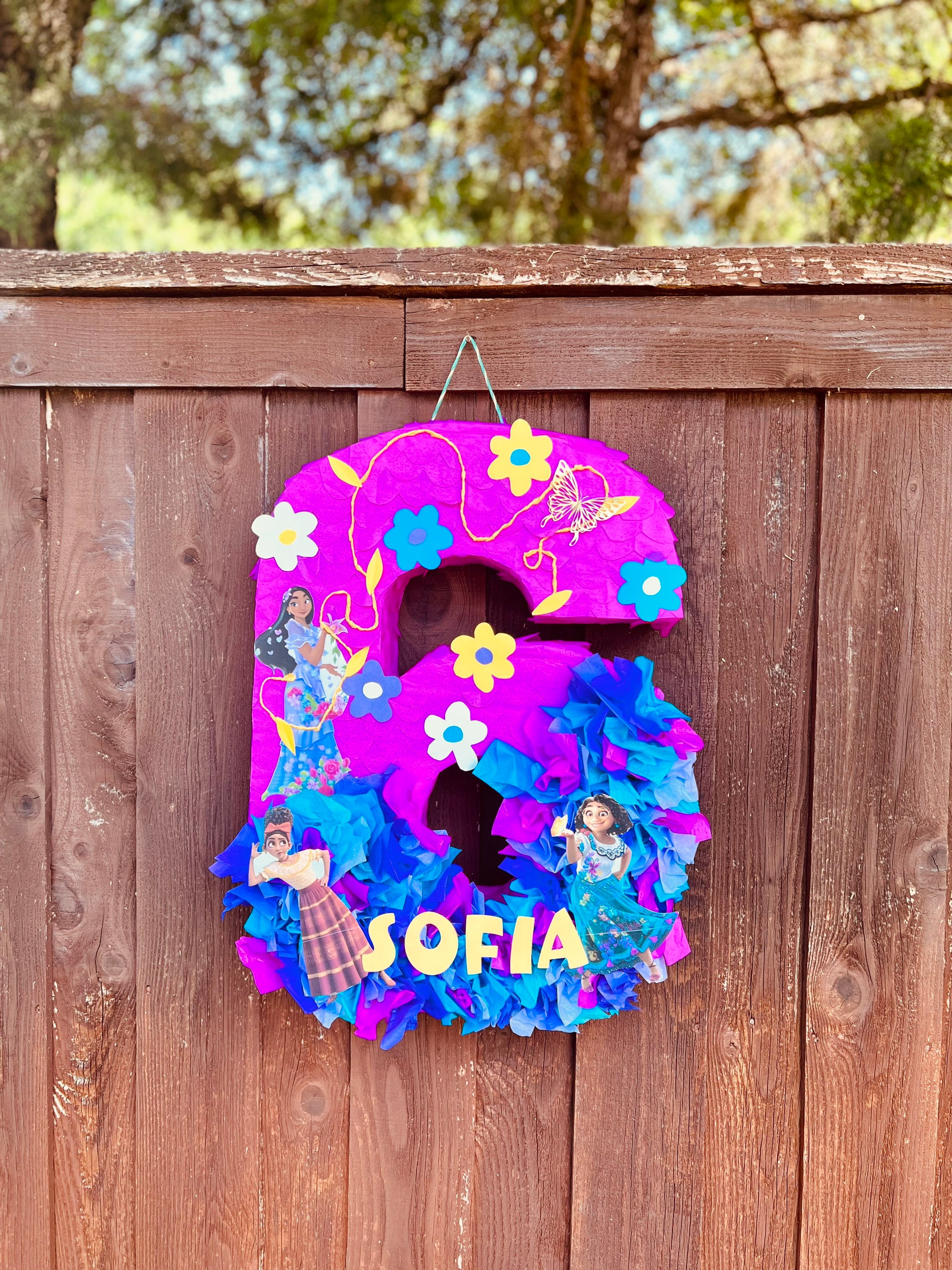 Encanto Inspired Pinata Encanto Birthday Party - Etsy