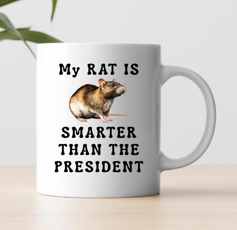 Rat Mug, Cute Rat Lover Gift, Pet Rat Coffee Cup, Rodent Owner Mug ...