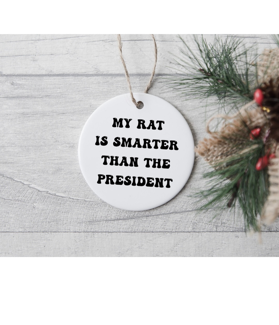 Rat Ornament, Rodent Gift, Rat Gift, Rat Lover Gift, Rodent Lover ...