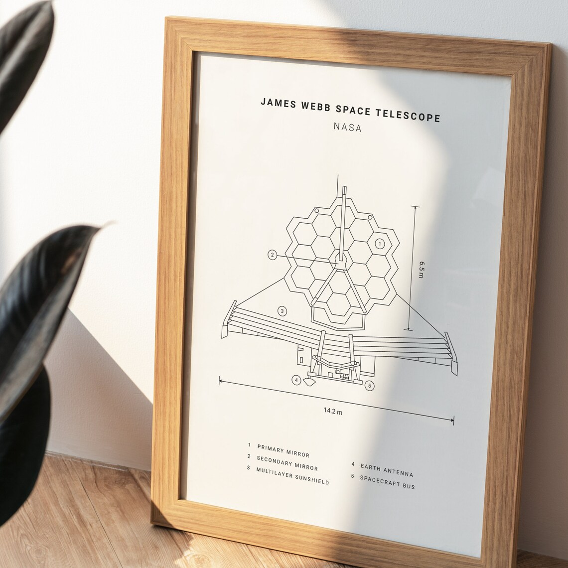 NASA James Webb Poster, Digital Download, Space Telescope Blueprint ...