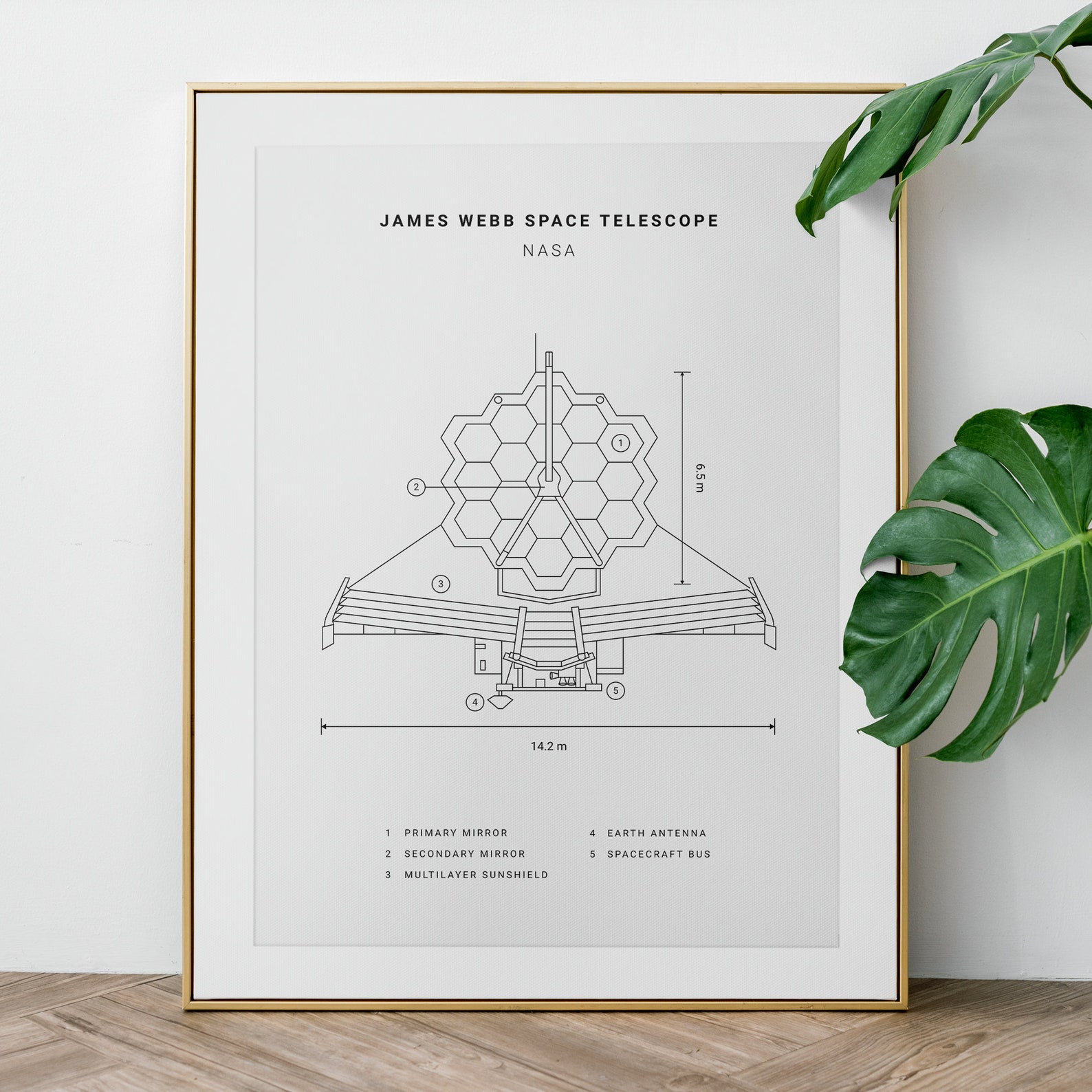 NASA James Webb Poster, Digital Download, Space Telescope Blueprint ...