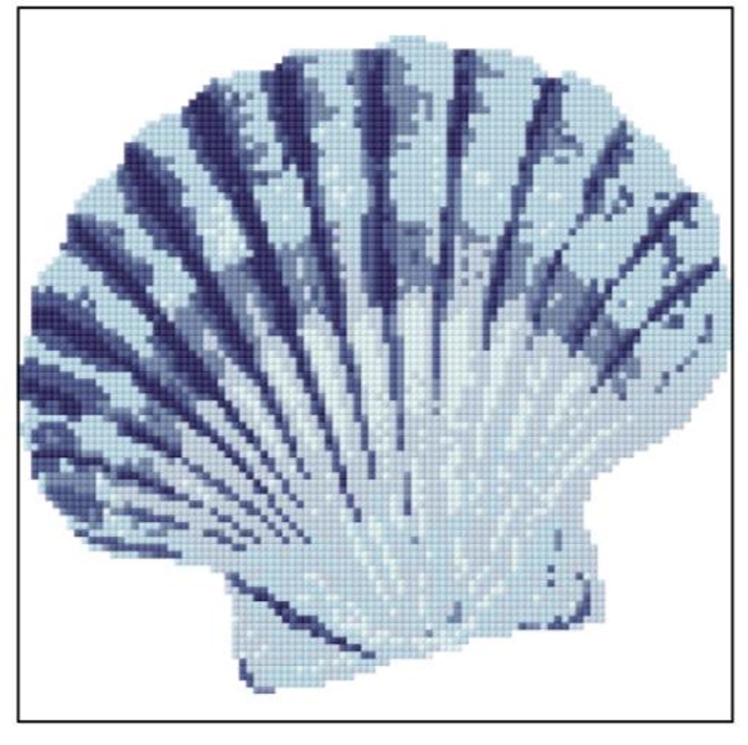 Scallop Beach Seashell Needlepoint Chart Digital Download Easy Cross ...