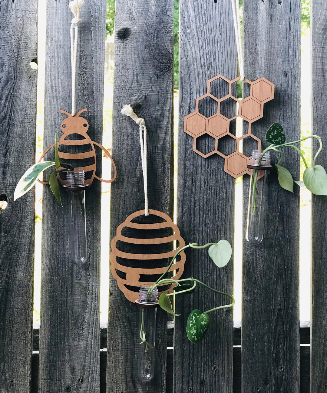 Fileonly - Bee Theme Propagation Stations 5mm - DIGITAL SVG FILE ...