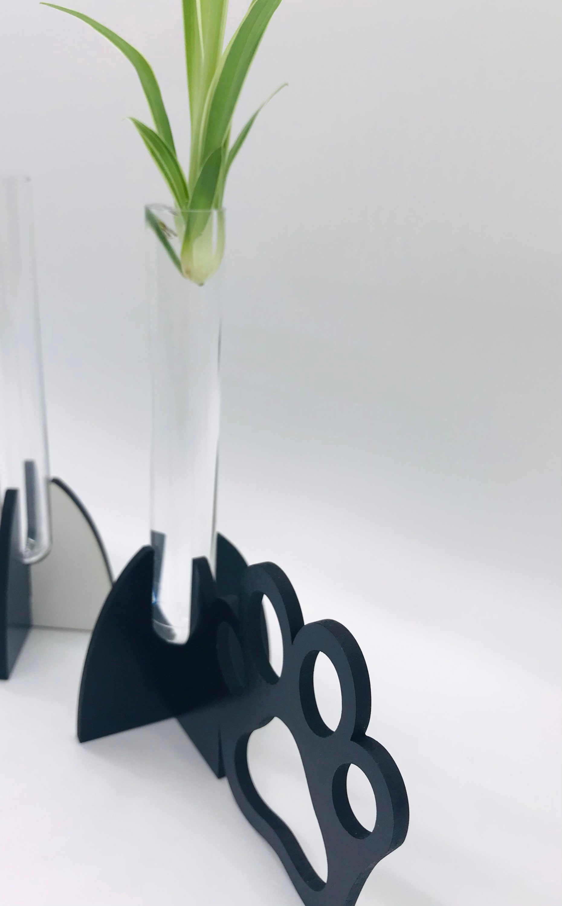 Fileonly Paw Print Propagation Stand DIGITAL SVG FILE - Etsy